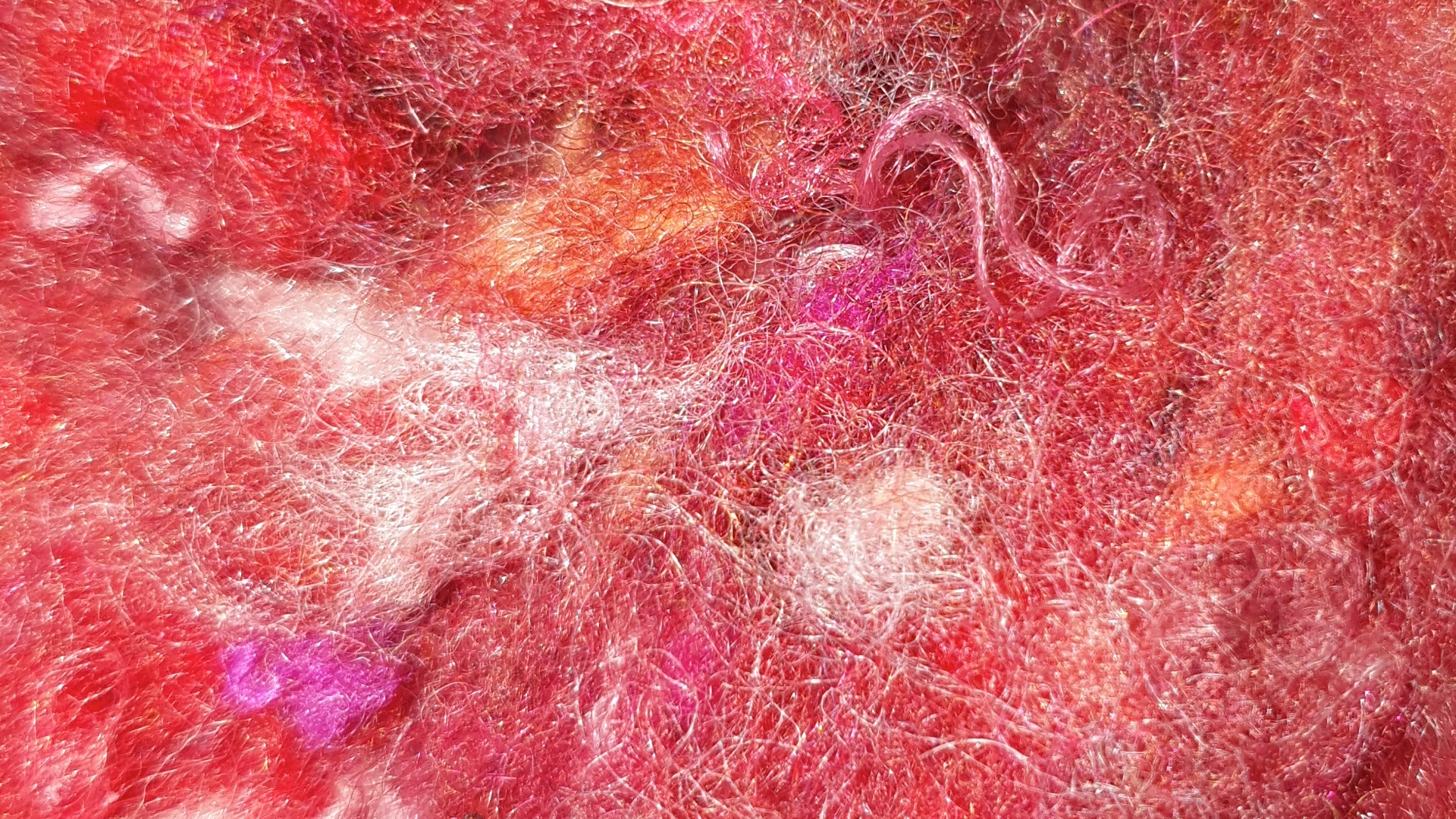 Back to the circular future - Fibersorting